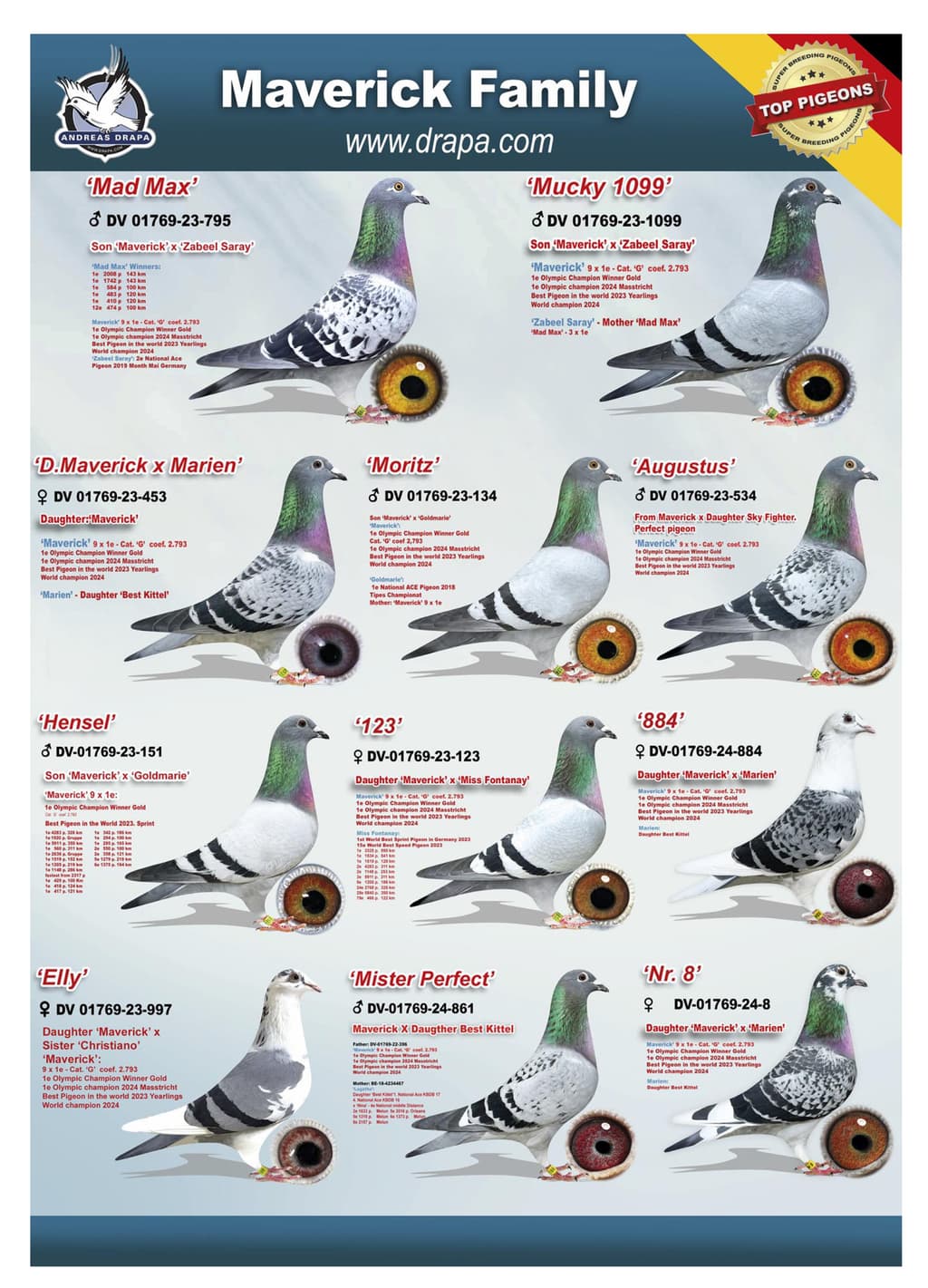 ”Alexa” - DV-01769-24-40