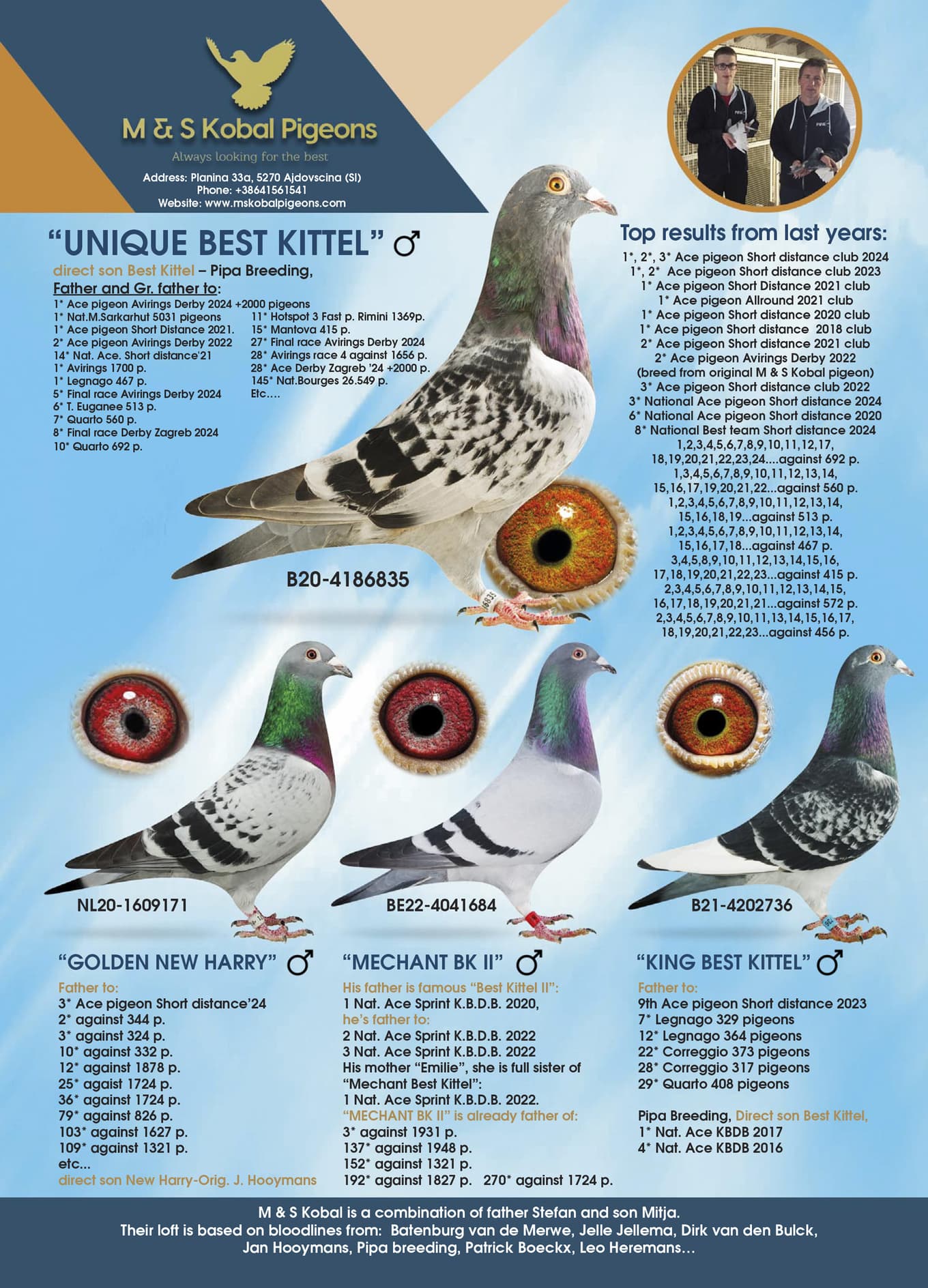 “Crazy Grizzle” - NL-24-8632566