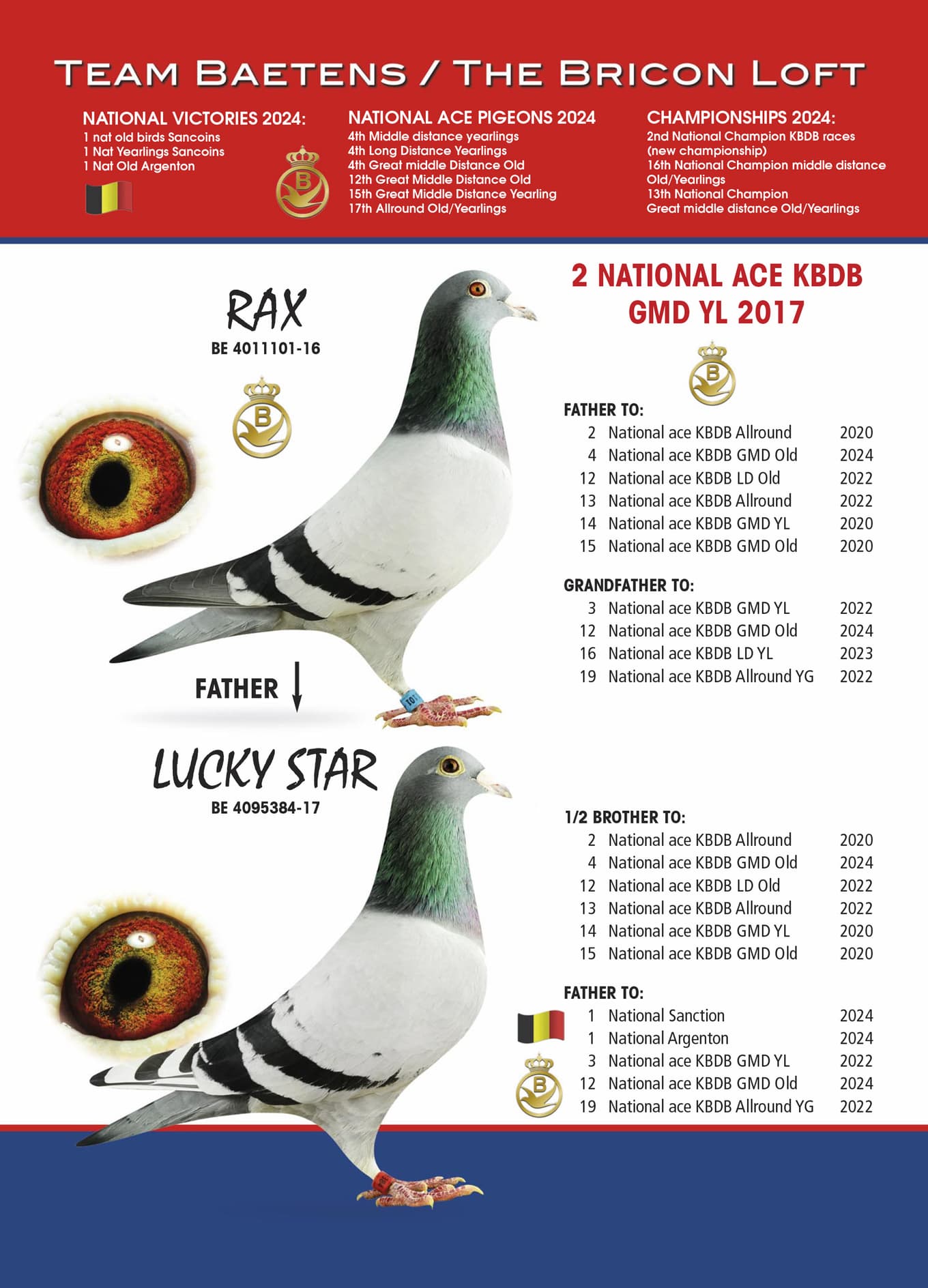 Bombeke Luc: A breeding loft with world class genes