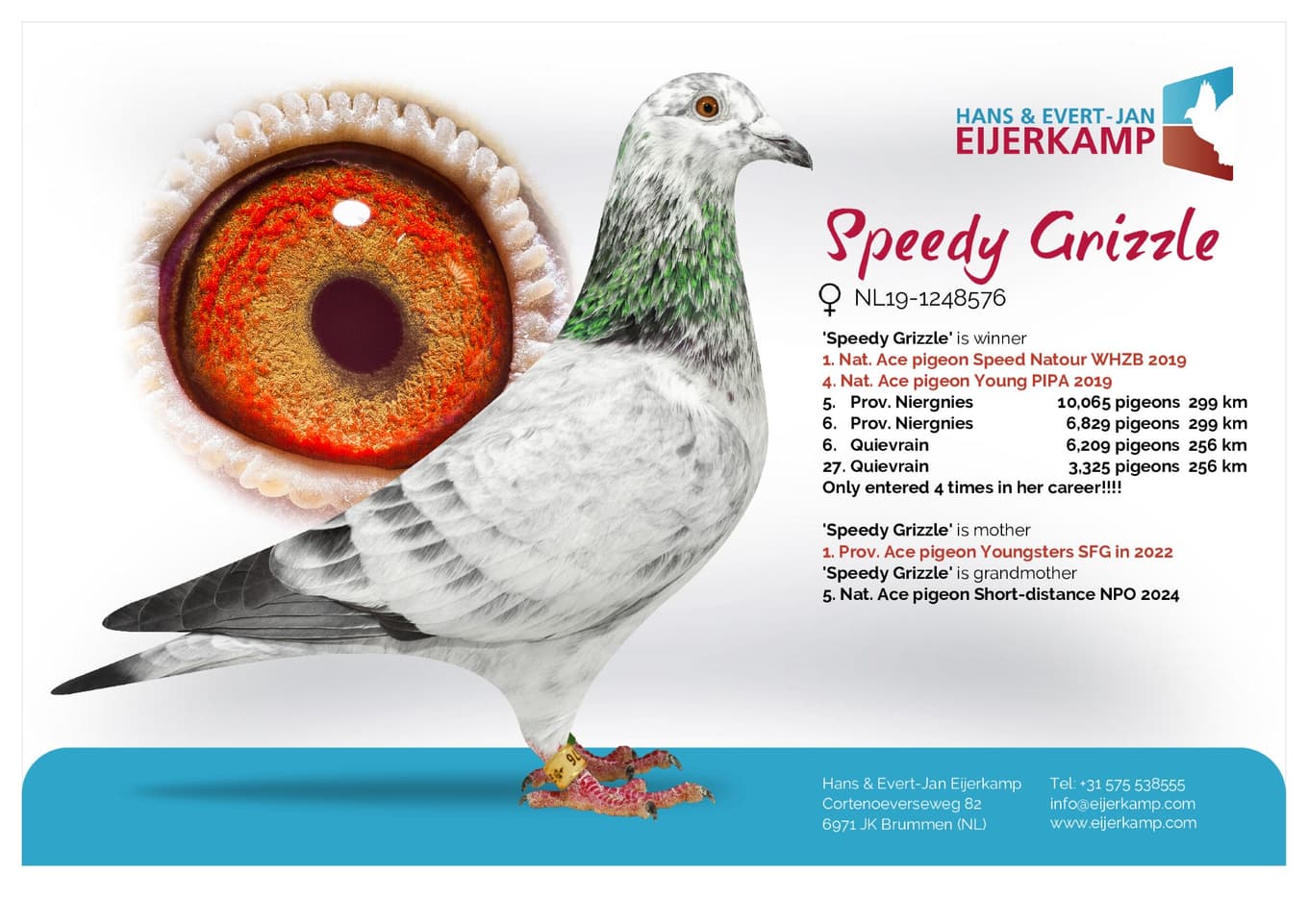 Eijerkamp Hans & Evert-Jan: the success story of ‘Viton’ x Daughter ...